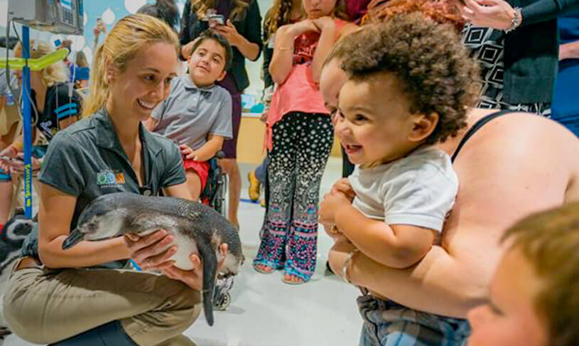 San Diego Zoo Wildlife Explorers: Help Healing Begin